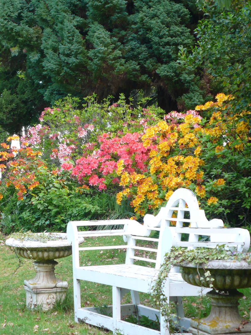 Help around our home and garden in Methven, New Zealand