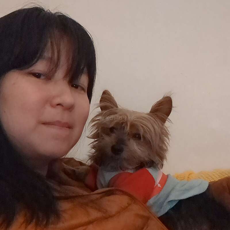 Germal language exchange and help with DIY in Brooklyn (Bushwick), NYC, USA