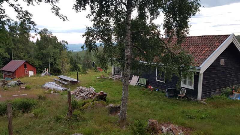 Join our family at our house or forrest cabin in Sande i Vestfold, Norway