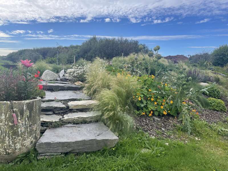 Seaside garden and orchard homestead in a magical West Cork, Ireland