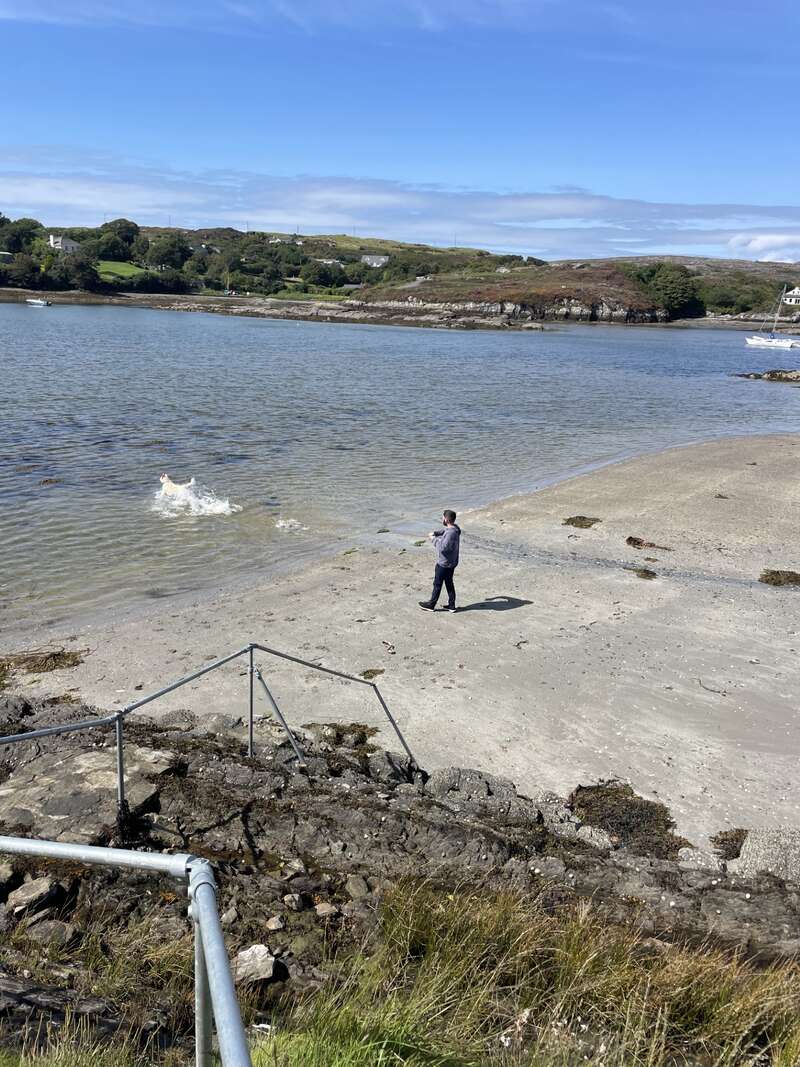 Seaside garden and orchard homestead in a magical West Cork, Ireland