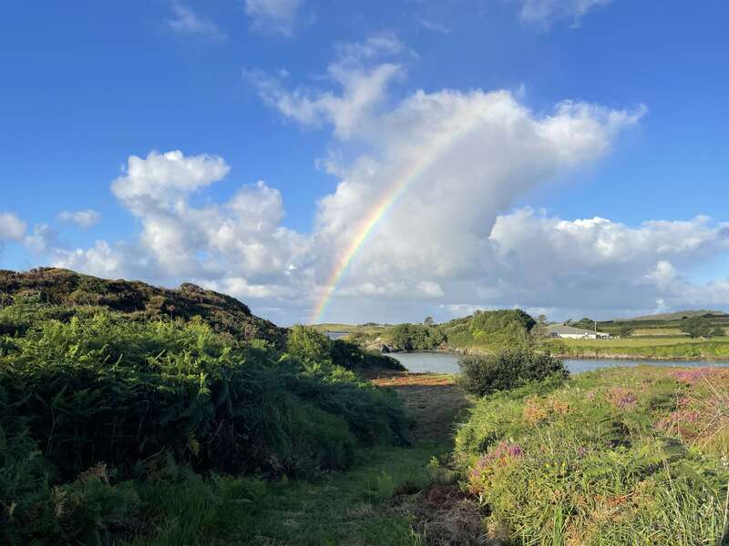 Seaside garden and orchard homestead in a magical West Cork, Ireland