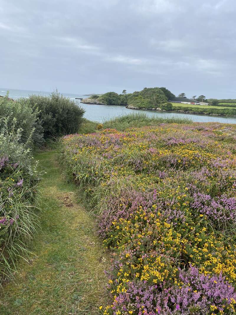 Seaside garden and orchard homestead in a magical West Cork, Ireland