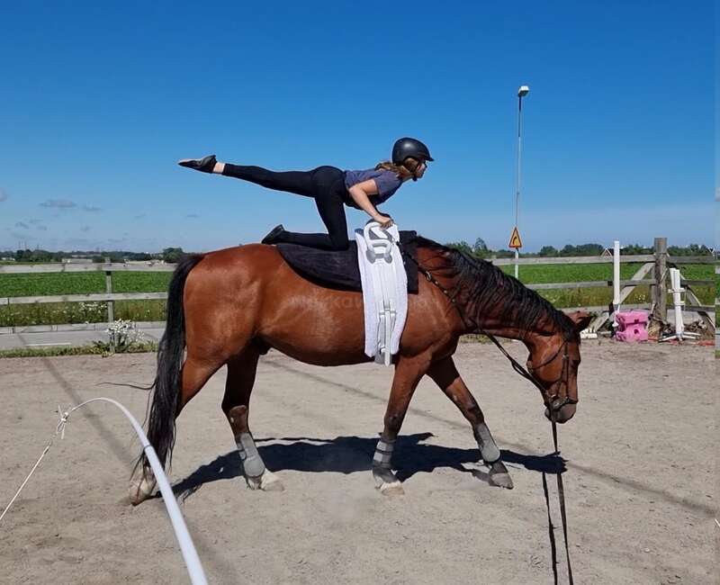 Vaulting, horses, children, farm, Malmö, Sweden