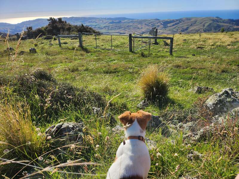 Outdoors while exploring Greta Valley, New Zealand