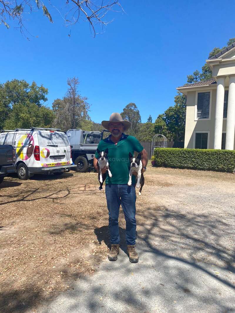 Help with horses in the beautiful Samford Valley region, Qld, Australia