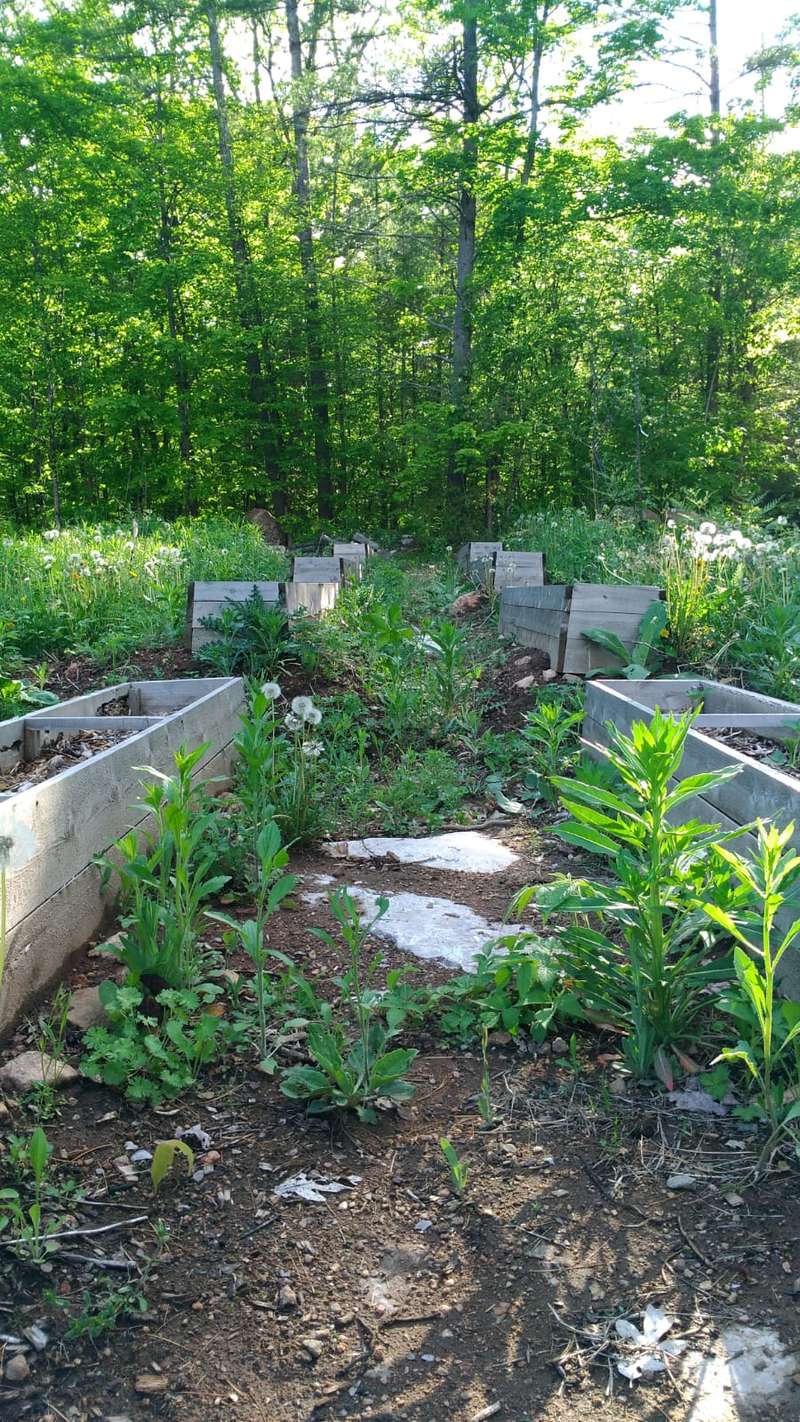 Experience living off-grid in a rural setting, Ontario, Canada