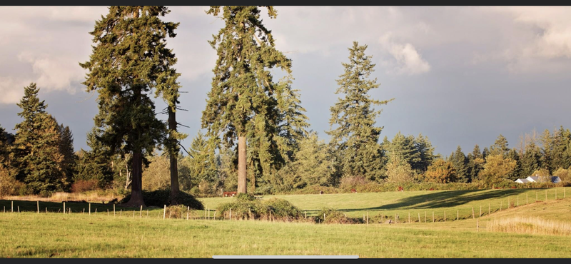 Join our family on our small hobby farm and help with animals and ...