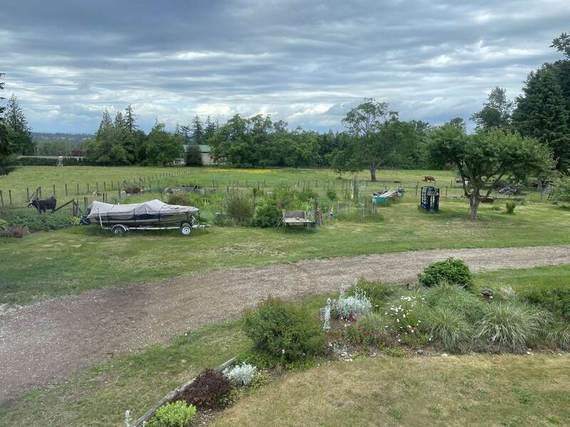 Join our family on our small hobby farm and help with animals and ...