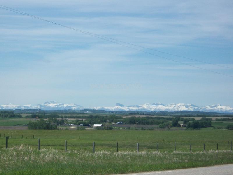 Help with yard work and gardening in rural Alberta