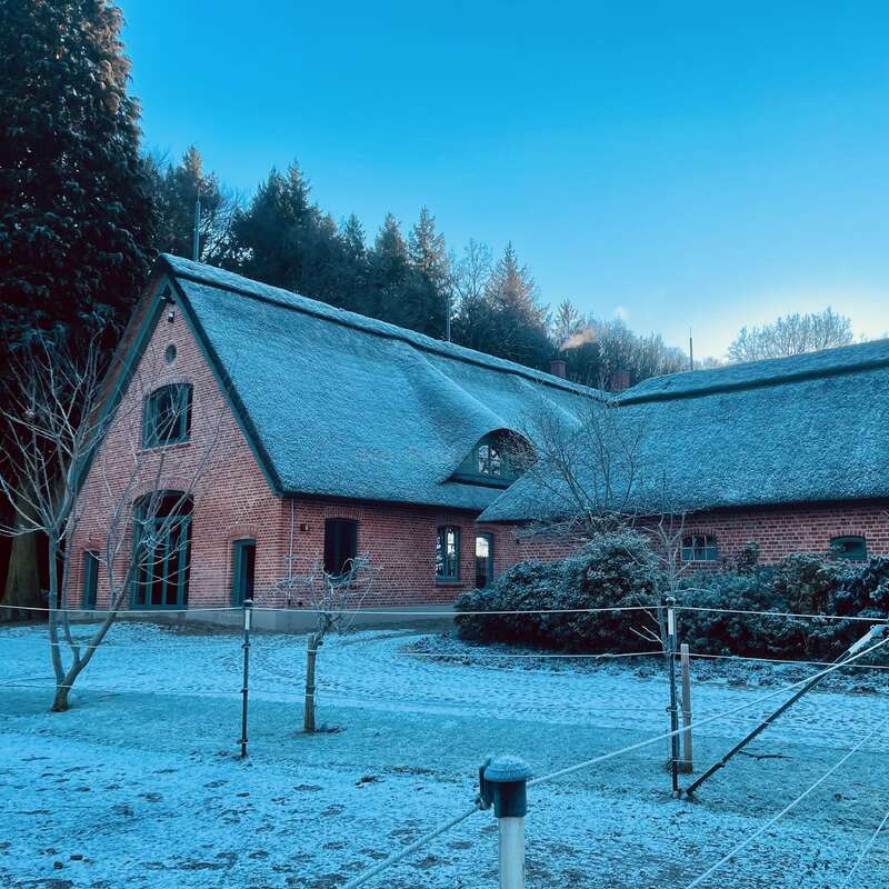 Help our family with daily life in Wohltorf, Germany