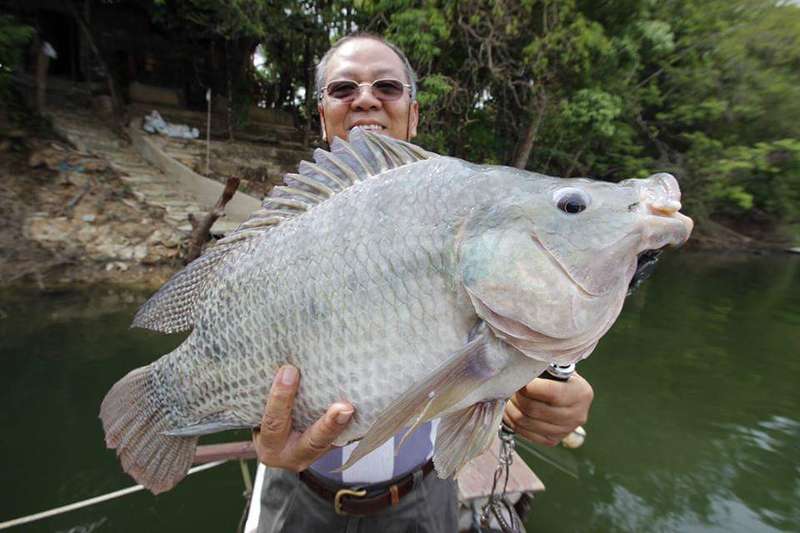 Come and enjoy unique rain forest experience in Perak, Malaysia