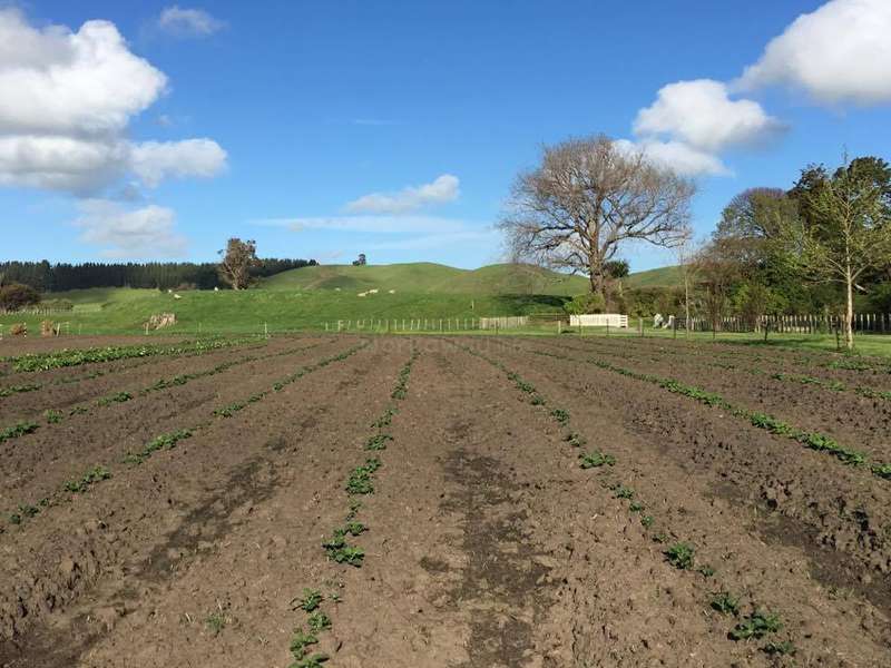 Enjoy the family life on our organic farm near Feilding, New Zealand