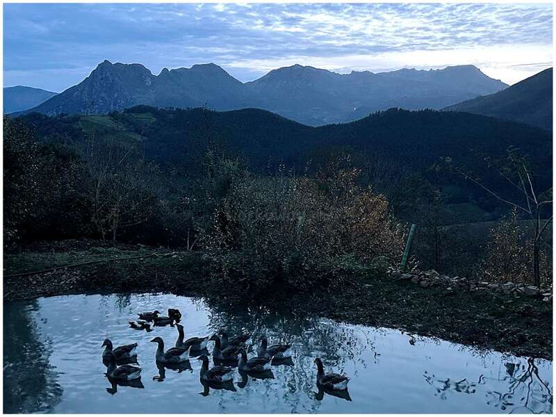 Enjoy some quiet time in contact with nature and learn about ...