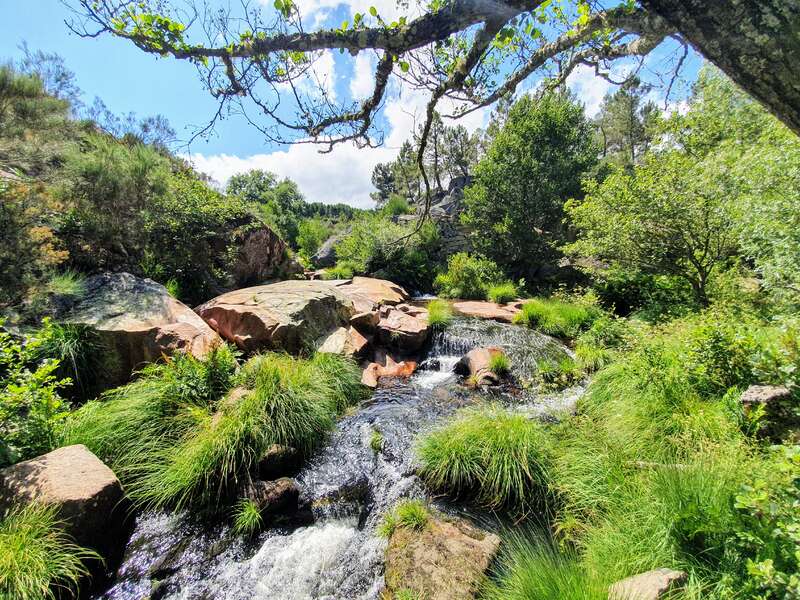 Join my off grid project in beautiful mountainous Raíz do Monte, Portugal