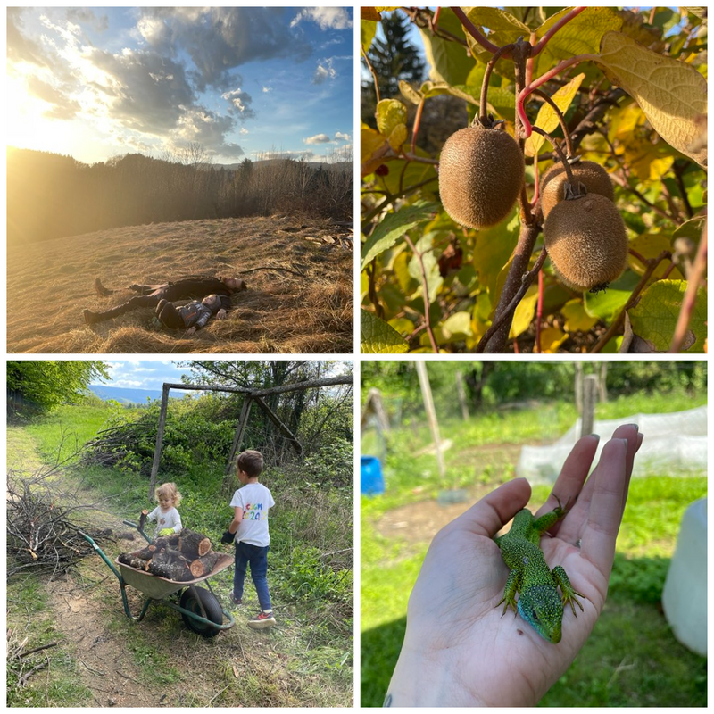 Come to a nice homestead in Maribor, Slovenia