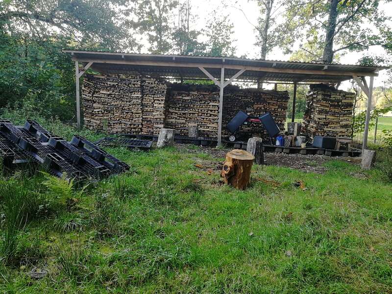 Experience family life in an off-grid, permaculture homestead in ...