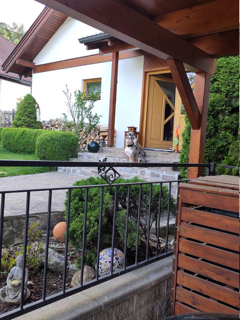 Come and join us with our everyday life in Alland, Austria