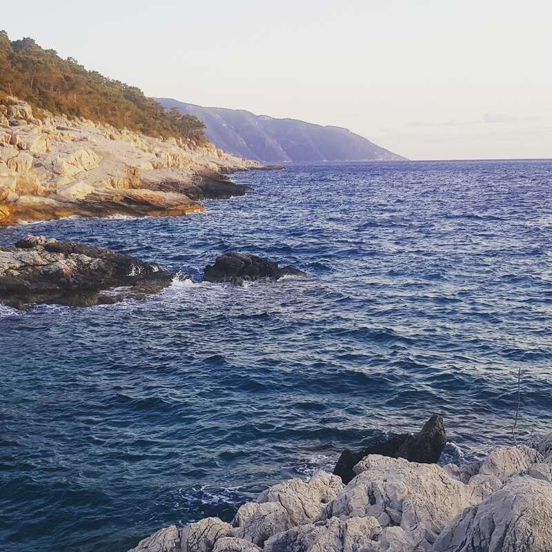 Help us to prepare our beautiful place for autumn in Faralya, Turkey