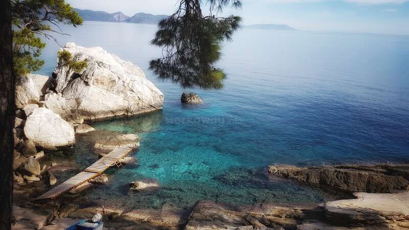 Help us to prepare our beautiful place for autumn in Faralya, Turkey