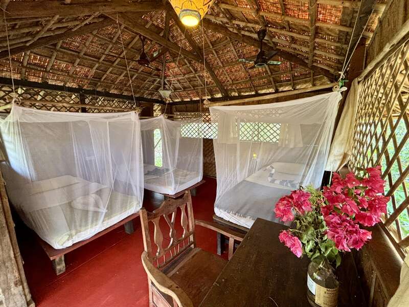 Help long-term in our sustainable ecovillage and holistic centre in the ...