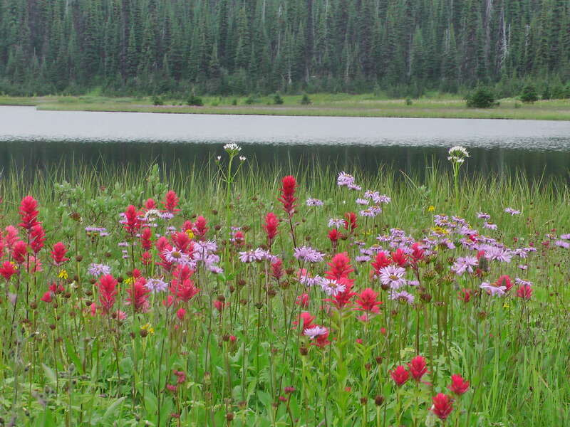 Looking for help in the beautiful Cariboo Mountains of British Columbia ...