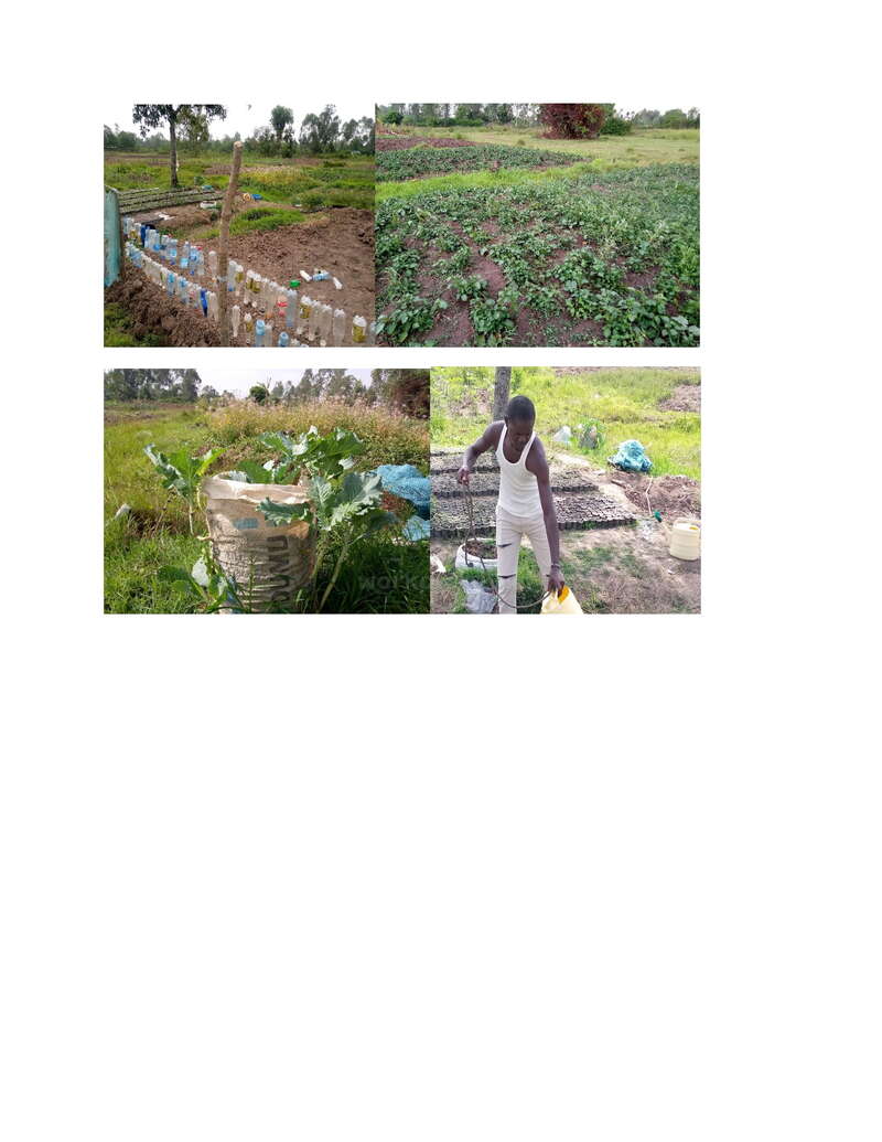 Immerse yourself in the local community in Ugunja, Kenya