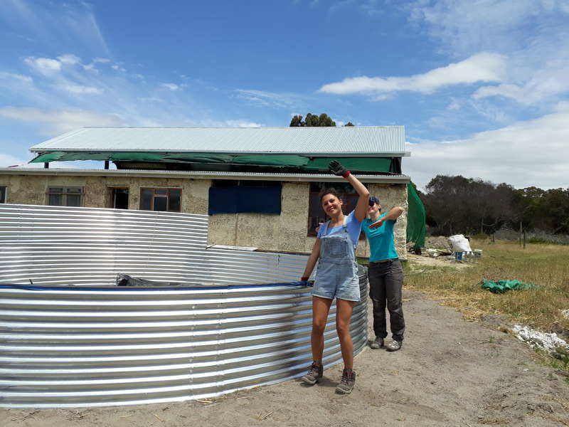 Enjoy our self-sufficient life in rural Baarskeerdersbos, South Africa
