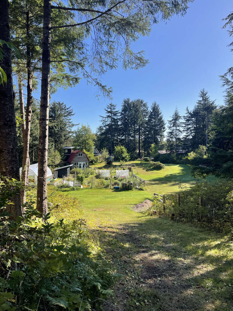 Join a local family home on Haida Gwaii and explore the surroundings of ...