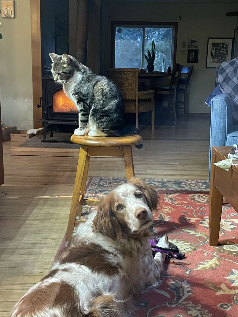 Join a local family home on Haida Gwaii and explore the surroundings of ...