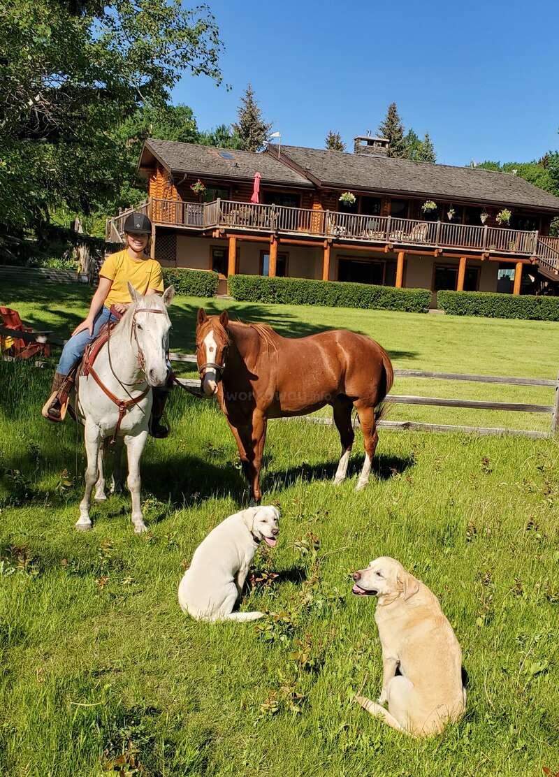 Staying in the foothills of the Rocky Mountains near Millarville ...