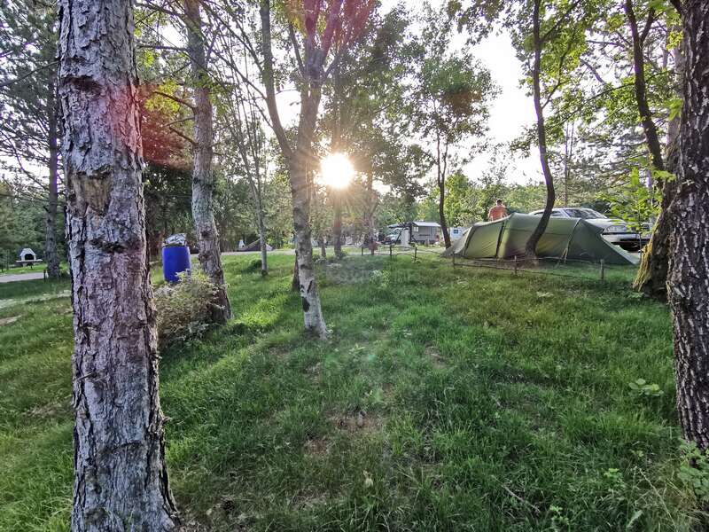Enjoy nature while helping at our small campsite in Istria, Croatia