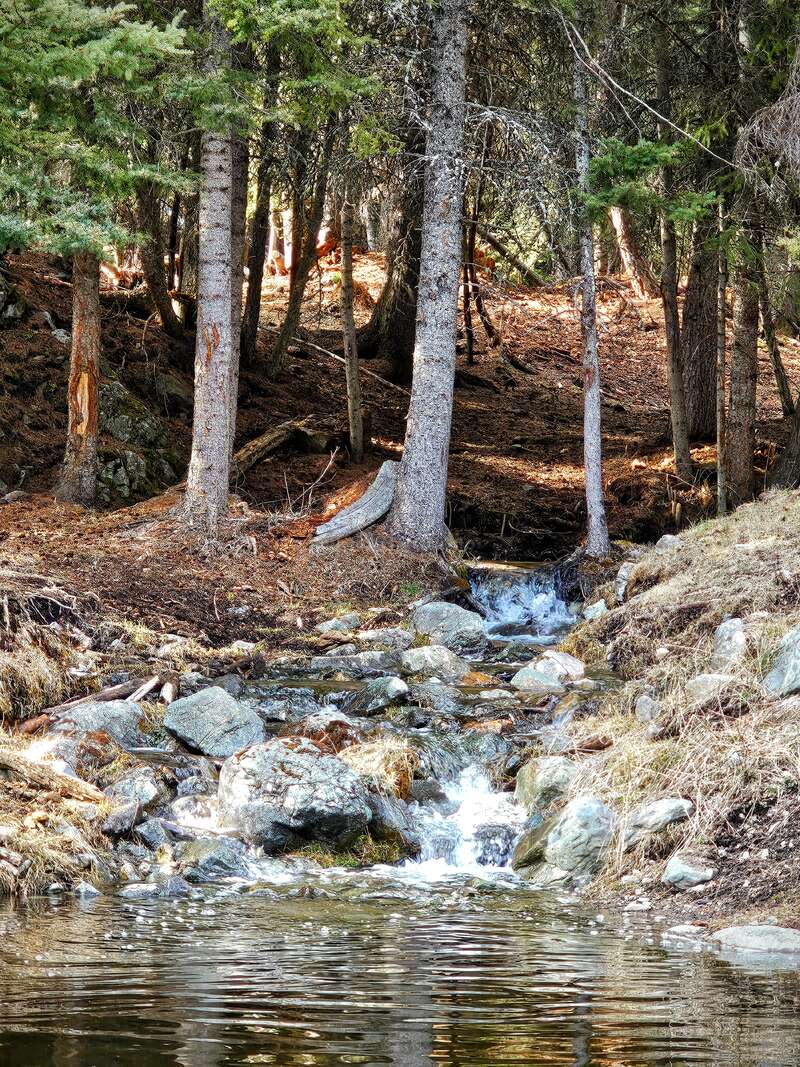 Experience ranch life in Merritt, Canada
