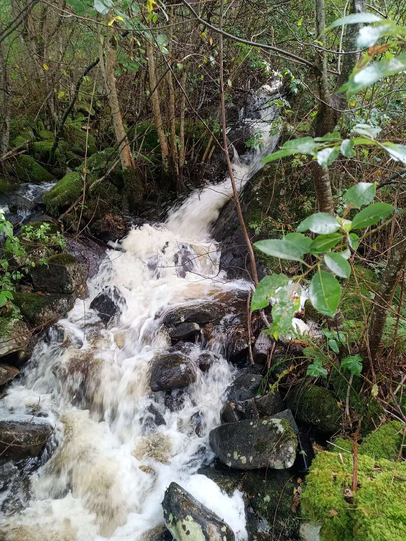 Get to know Norwegian culture and help on growing fruit in Utåker, Norway