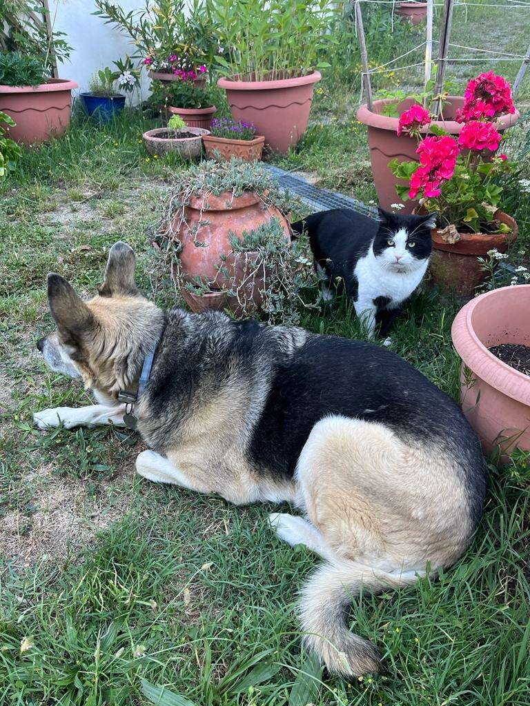 Join us in the countryside around Ponzone, Italy