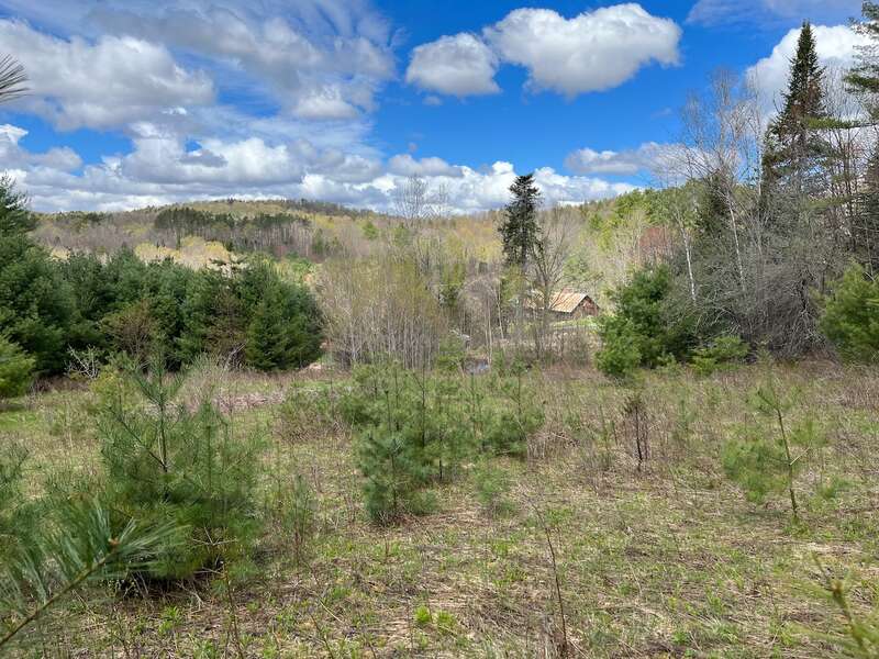Live the country life at my strawbale homestead in South Ryegate ...