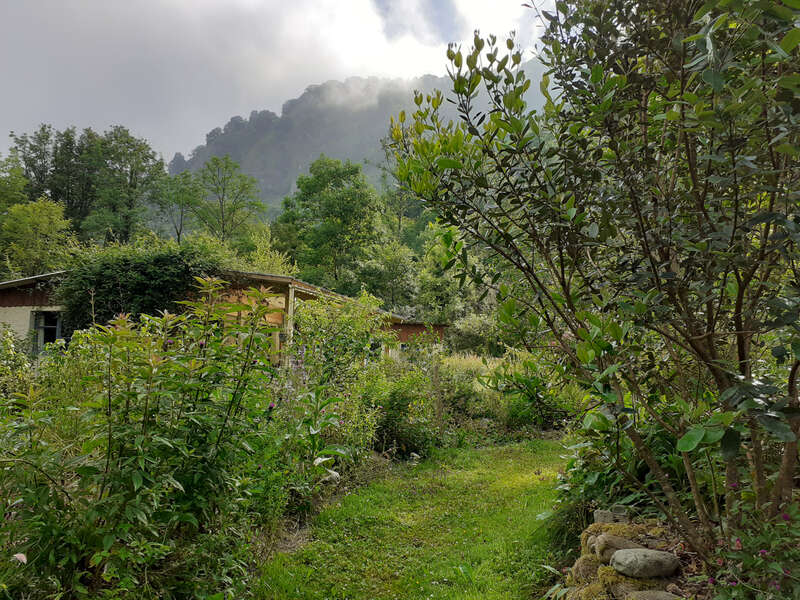 Permaculture on the banks of a river in the Pyrenees Atlantiques, France