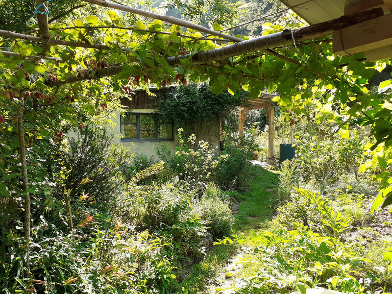 Permaculture on the banks of a river in the Pyrenees Atlantiques, France