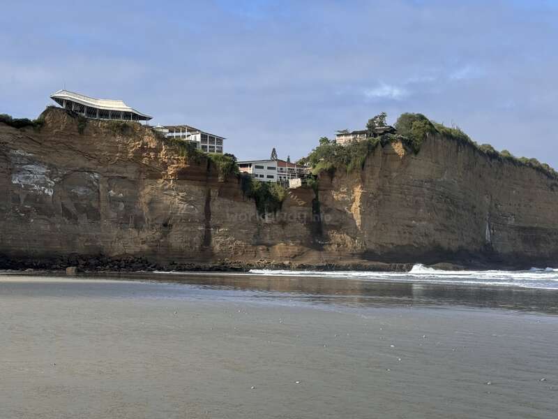 Help at our beachfront hostel and enjoy the trees and hummingbirds in ...