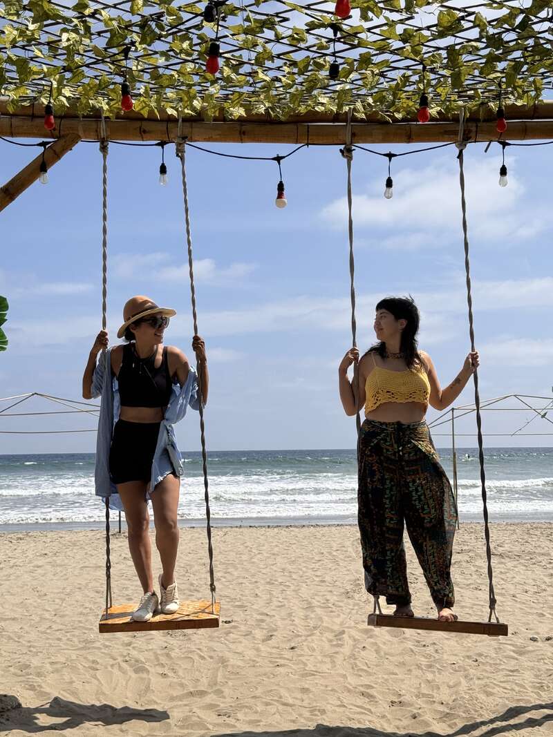 Help at our beachfront hostel and enjoy the trees and hummingbirds in ...