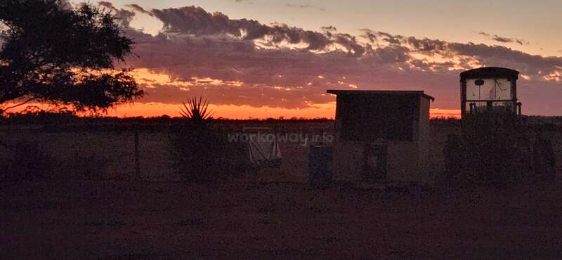Experience life in the bush near Red Cliffs, Australia