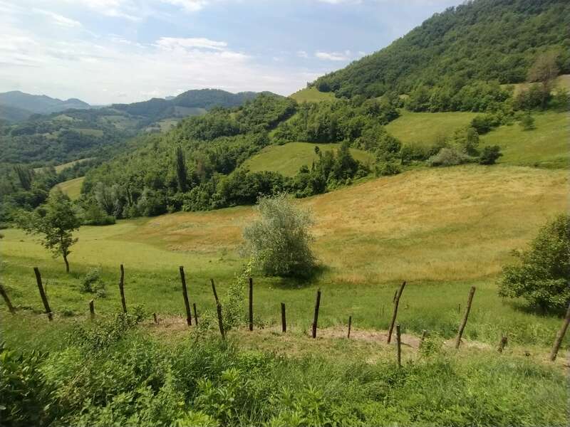 Stay in easygoing home surrounded by nature and look after our property ...