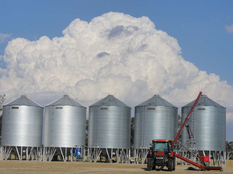 Help welcome on our stunning family farm in Willaura, Victoria, Australia
