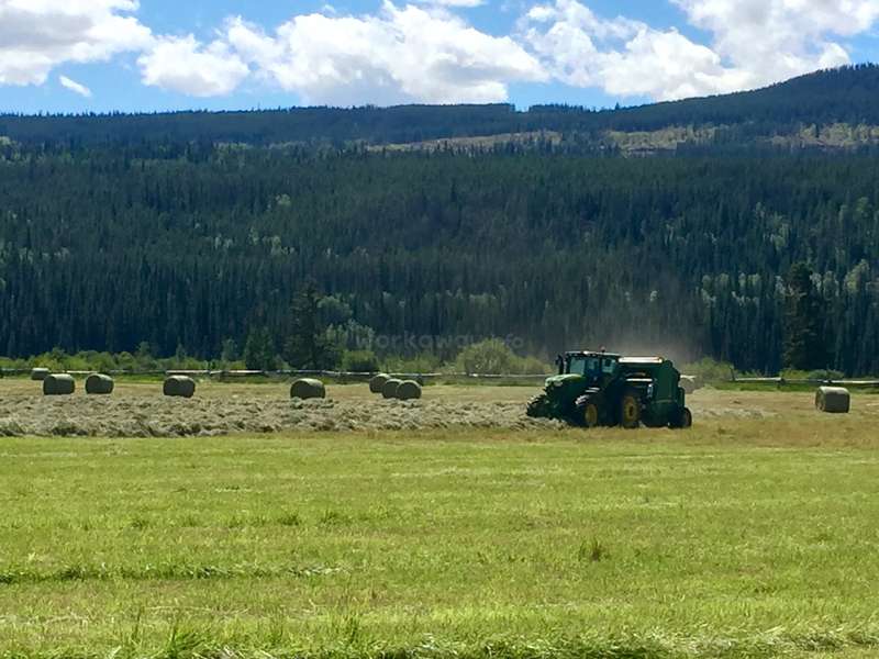 Large family owned cattle ranch in BC Cariboo Chilcotin, Canada