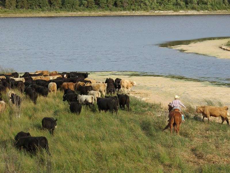 Large family owned cattle ranch in BC Cariboo Chilcotin, Canada