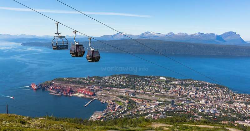 Enjoy the northern lights while helping me around my home in Narvik, Norway