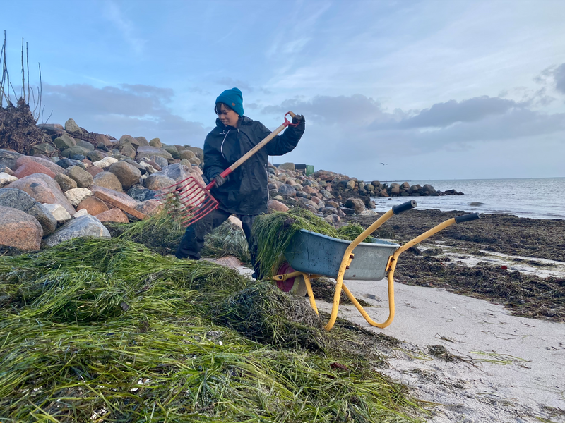 Join us in our home and help with cleaning, gardening, painting and ...