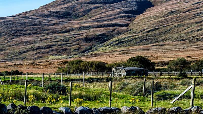 Experience life on an Irish farm and visitor attraction in Louisburgh ...