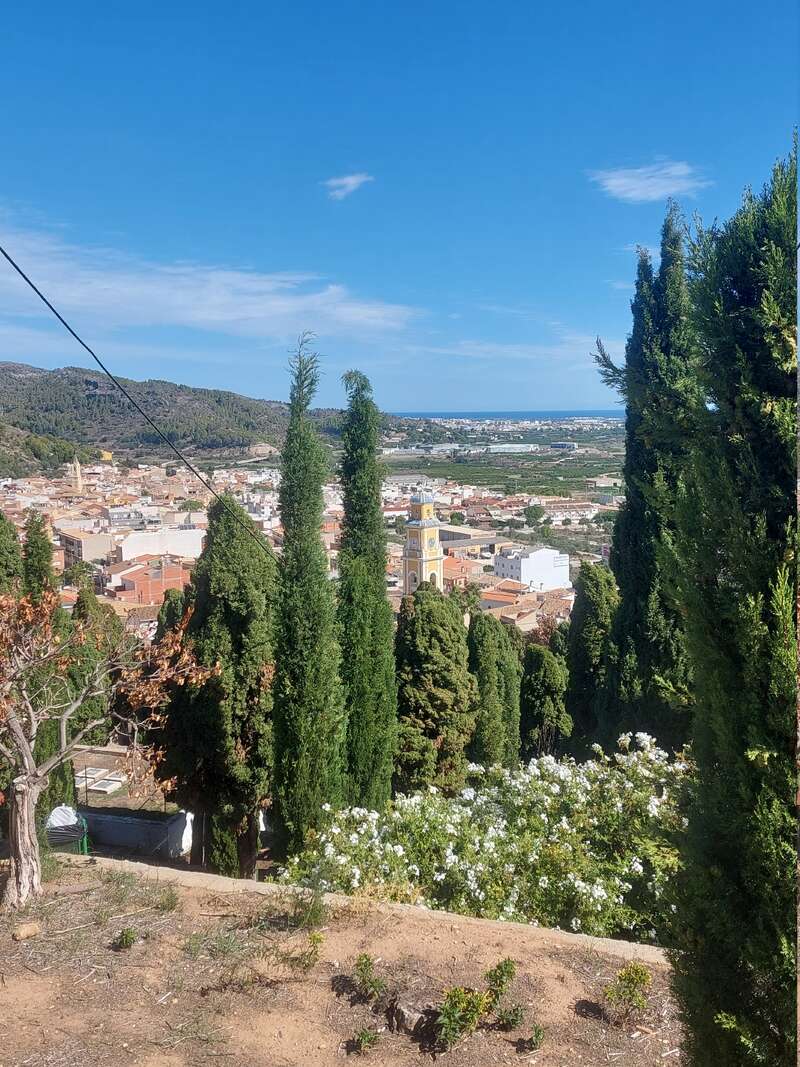 Help with dogsitting and painting in Ador, near Gandía, Spain
