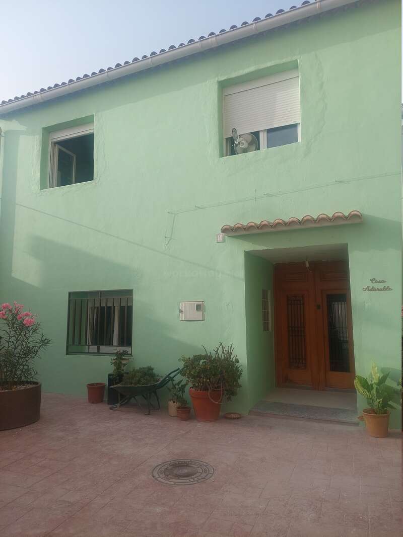 Help with dogsitting and painting in Ador, near Gandía, Spain